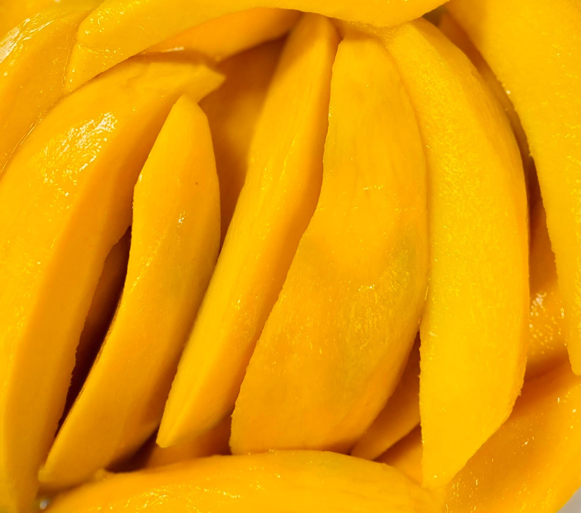 Mangoes (Brazil)