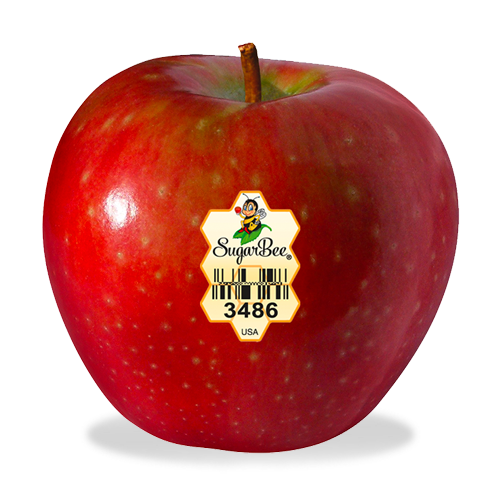 Sugar Bee Apple
